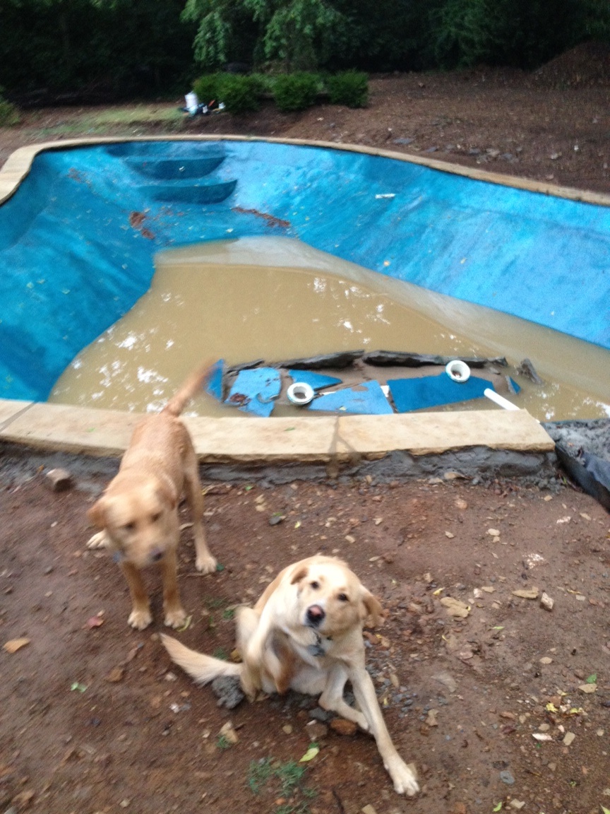 Outdoor Living Experts - SCAM!: Thinking About Building A Pool With ...