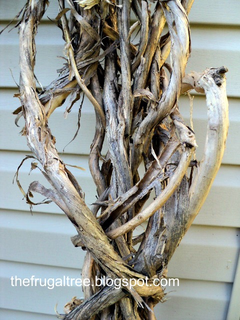 The Frugal Tree: Grapevine Galore!