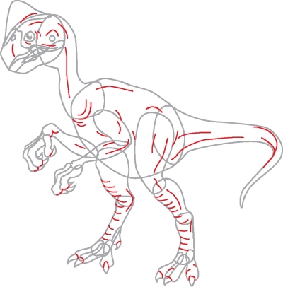 Cartoon Pictures: How to Draw Oviraptor in 7 Steps