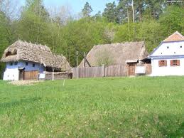 Ventana de Darie: enero 2013