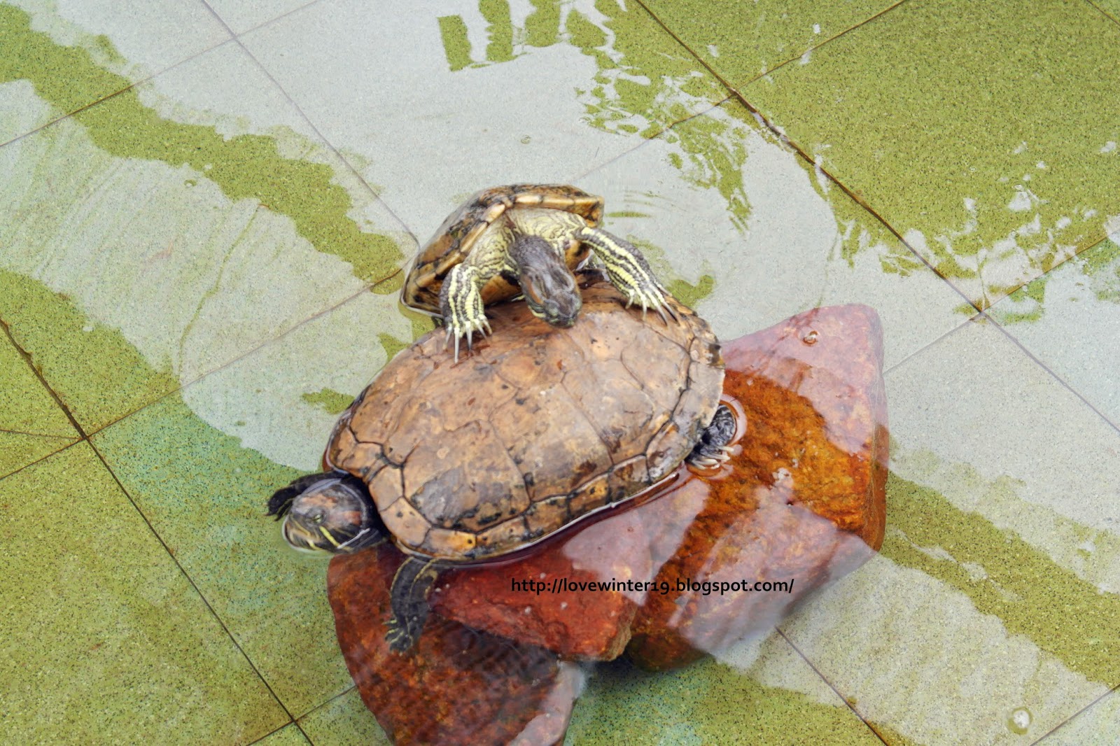 My Palace, My symphony of life and the rhythm in My heart: Segari ...