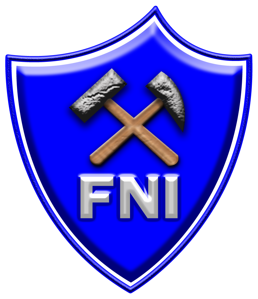 FN Logo.png