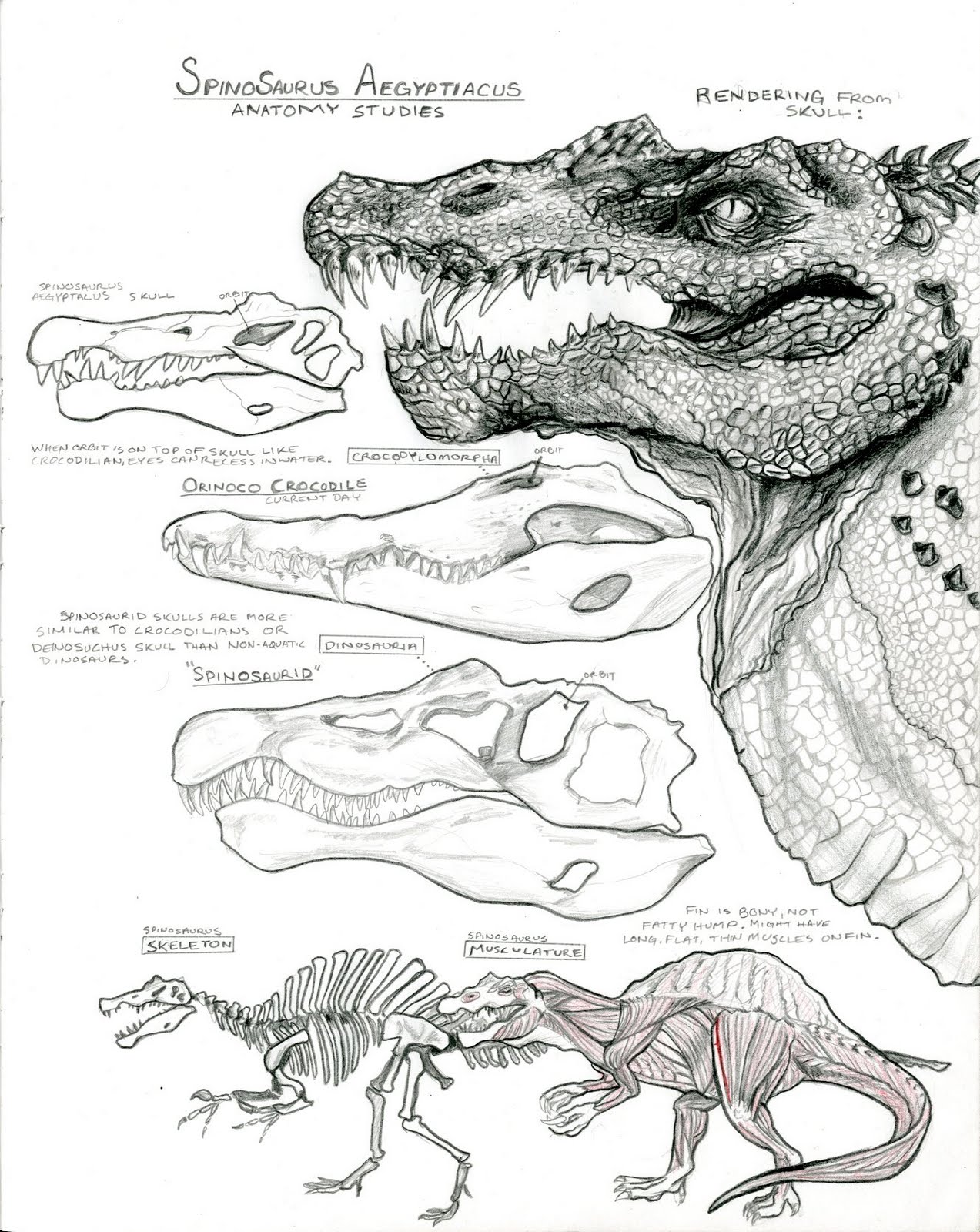 The Art of Cody Raiza: Anatomy Studies and Dinosaur Friends