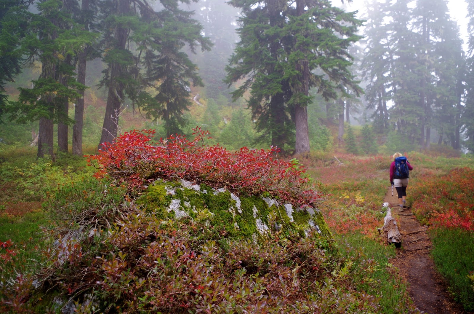 Pacific Northwest Seasons: Lake Valhalla Hike: Late Season Push on the PCT