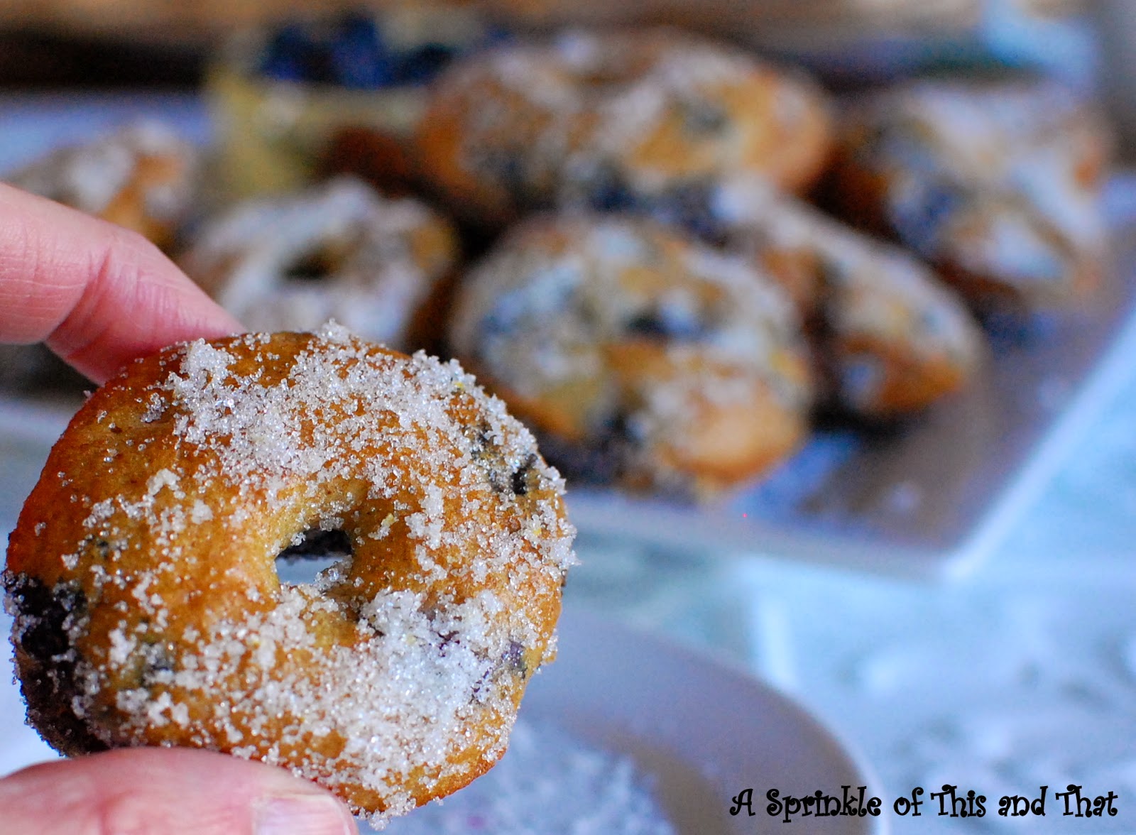 A Sprinkle of This and That: Baked Mini Lemon Blueberry Donuts