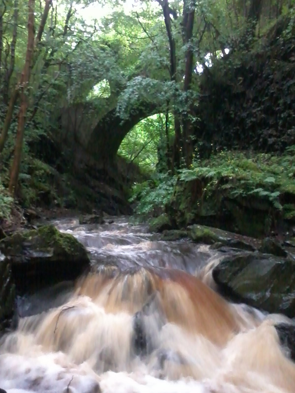 The Happy Pontist: Scottish Bridges: 42. Craigmin Bridge (revisited)
