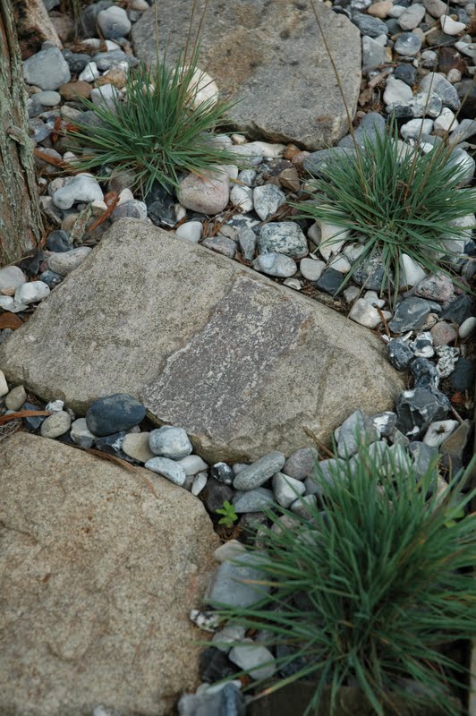 HAVETID: Sten og planter.