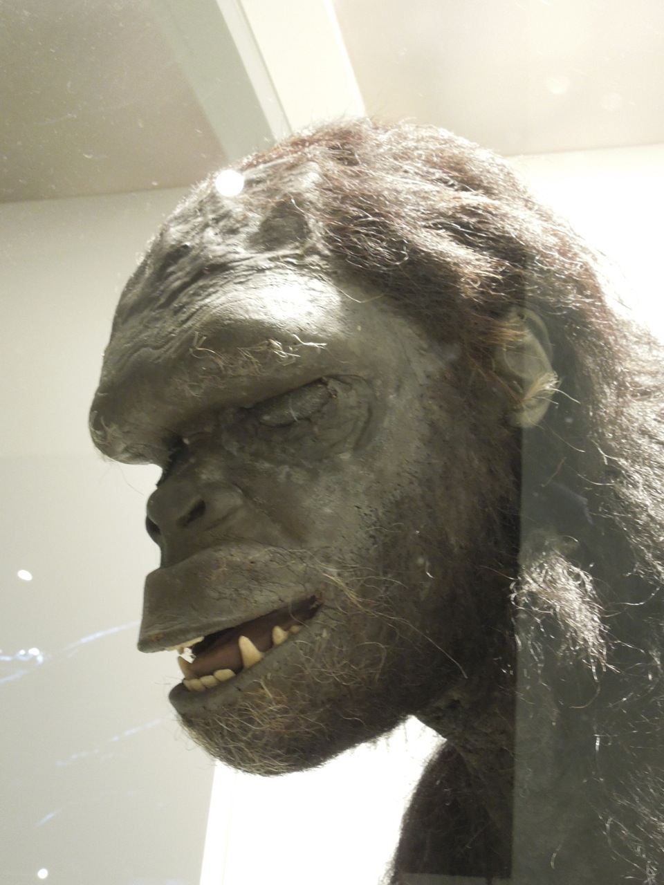 Hollywood Movie Costumes and Props: Moonwatcher mask and costume from ...