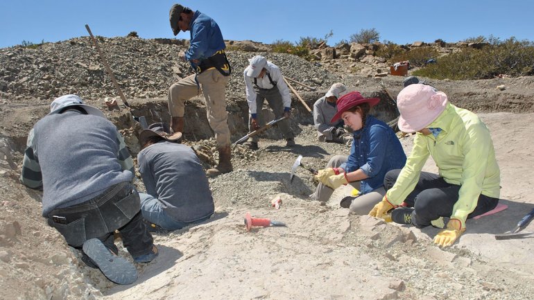 Fundacion Dinosaurios Cyl: Las Lajas se perfila como un nuevo polo ...