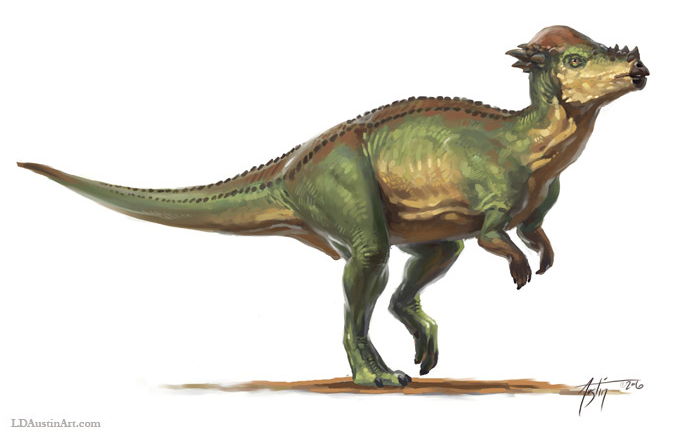 Mundo Pré-Histórico: Paquicefalossauro, o dinossauro cabeça-dura