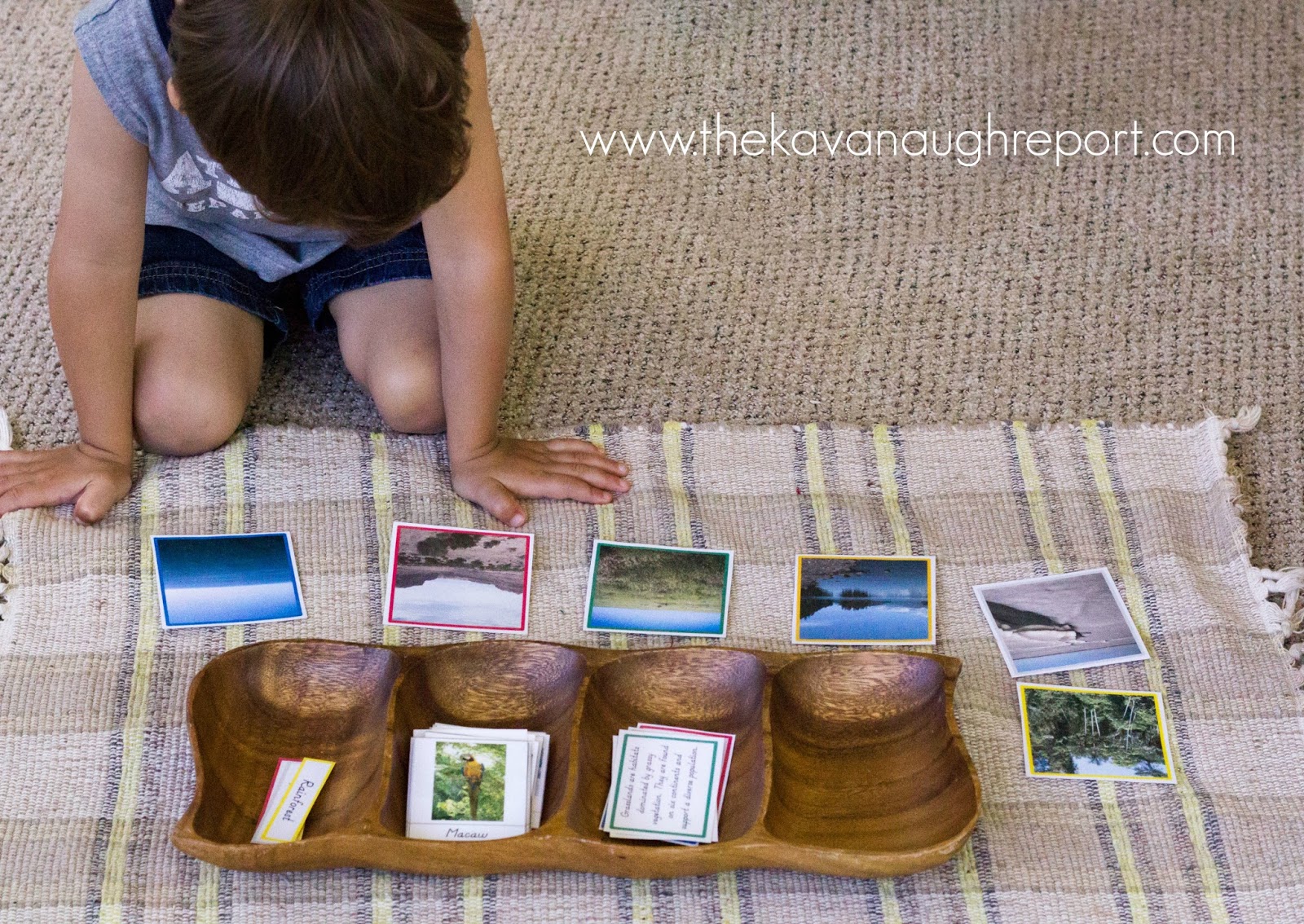 DIY Mini-Habitat for Preschoolers