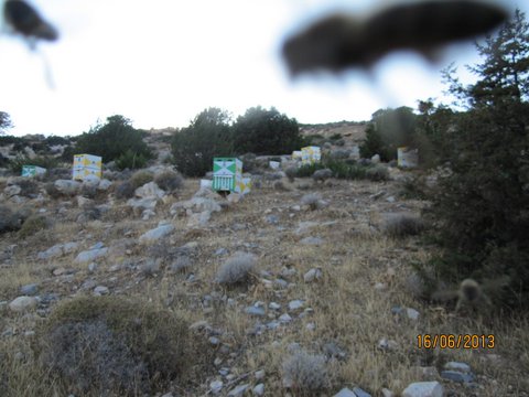 ΜΕΛΙΣΣΟΚΟΜΙΑ ΝΑΞΟΥ-NAXOS BEE