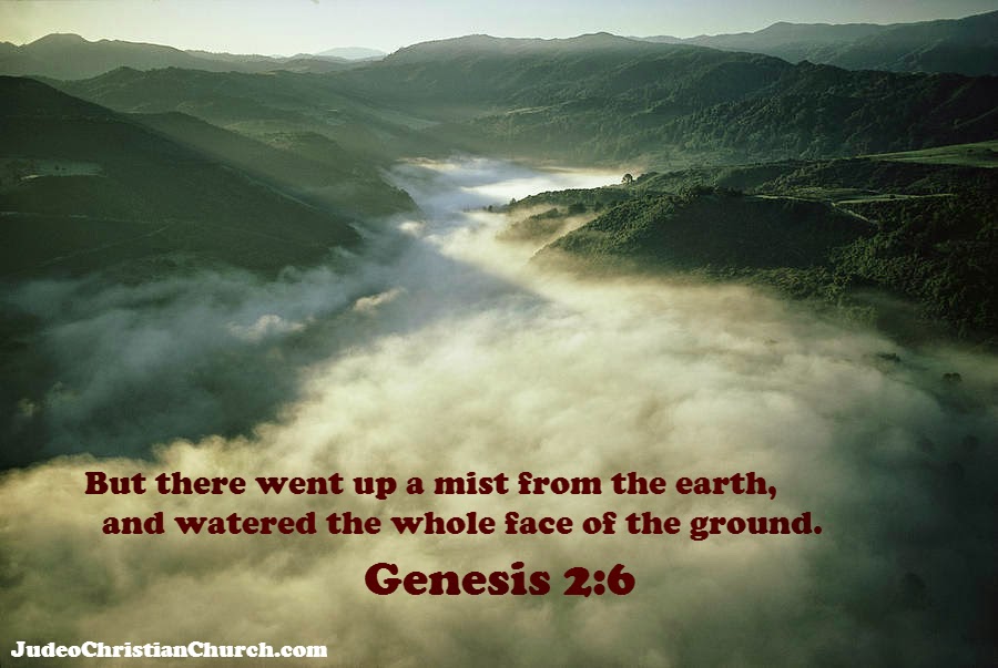 Lucia's Blog: NOAH AND THE FLOOD