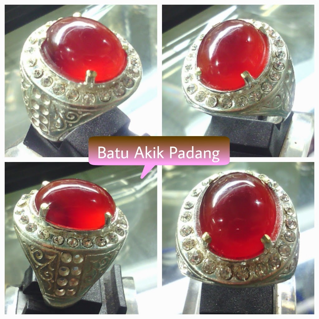 Red Raflesia Code: APRR347 - Batu Akik Padang
