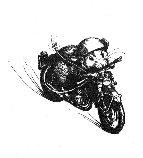 Progress is fine, but it's gone on for too long.: Motorcycle Books for ...