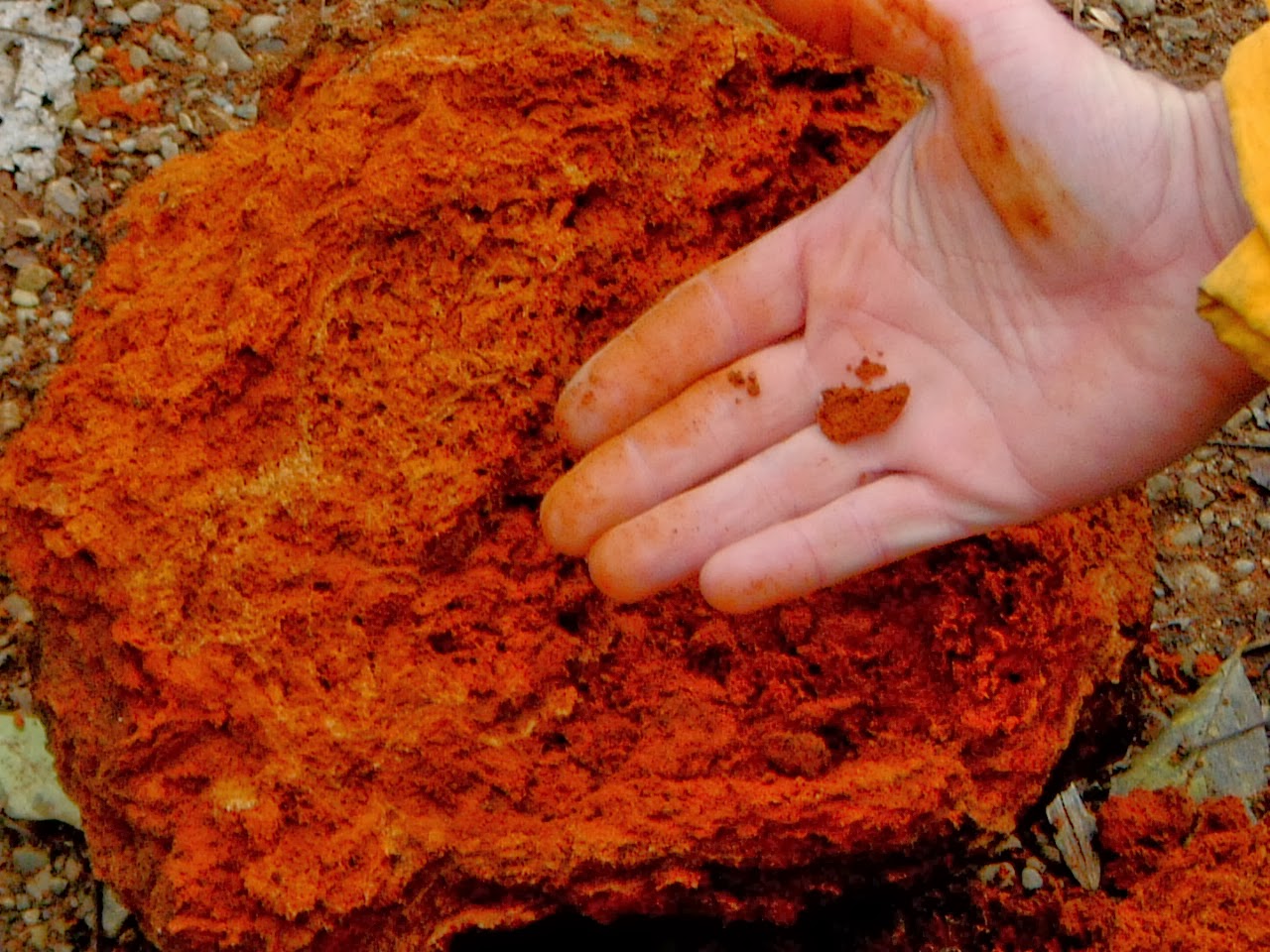 Mound Builders: A Travel Guide to the Ancient Ruins in the Ohio Valley ...