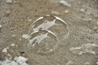 Le blogue de Florence Meichel