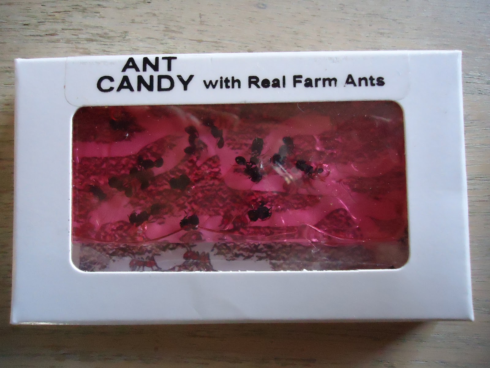 XO Eccentrix : Insect Candy