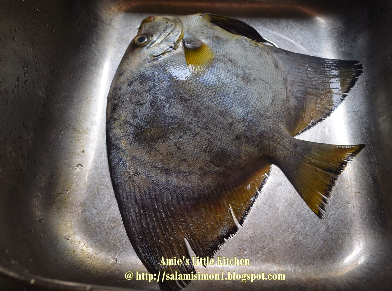 Singgang Serani Ikan Che Mat Gebu Memang Malatoooops!!!! - Amie's ...