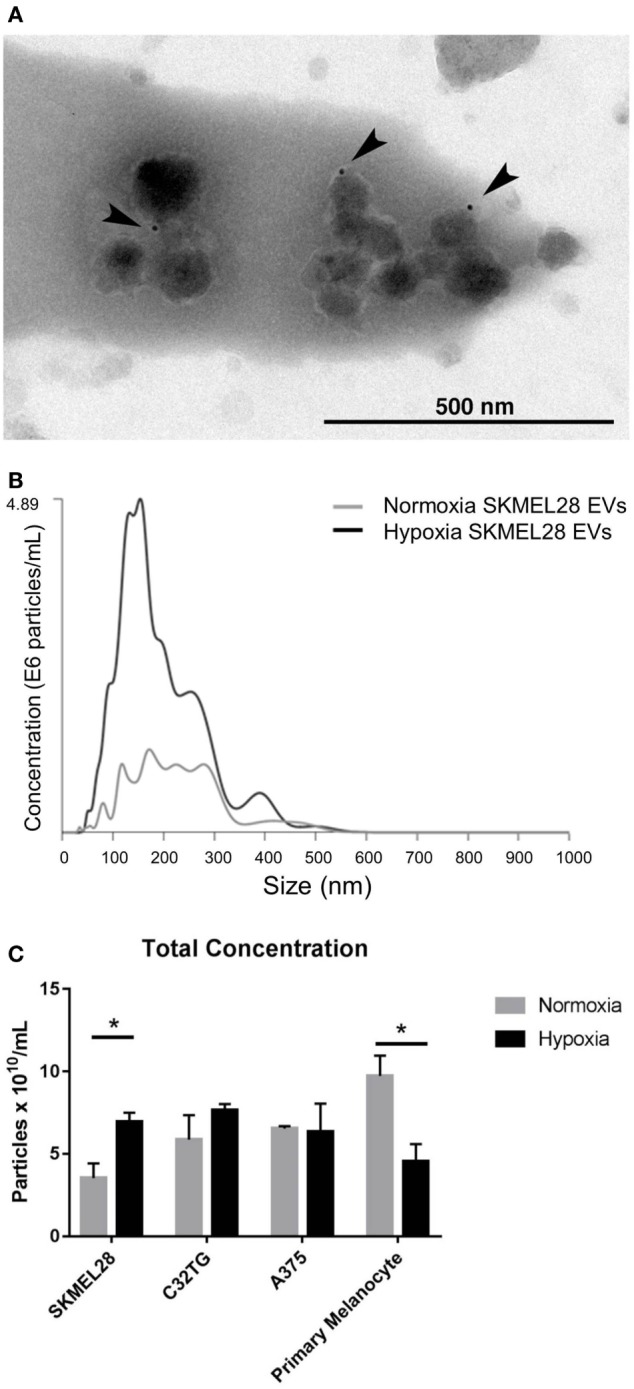 Neuromics: Petaka Cell Culturing System in Action