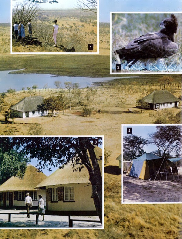 Our Rhodesian Heritage: Rhodesia's Wankie National Park