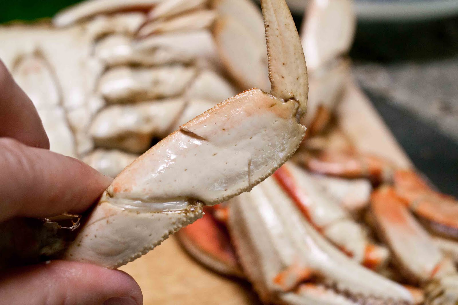 FOODjimoto: Dungeness Crab Appetizer Plate