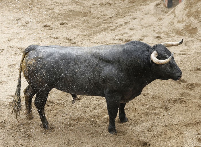 Lascosasdeltoro: "Minervo" abre la undécima de feria en Sevilla.