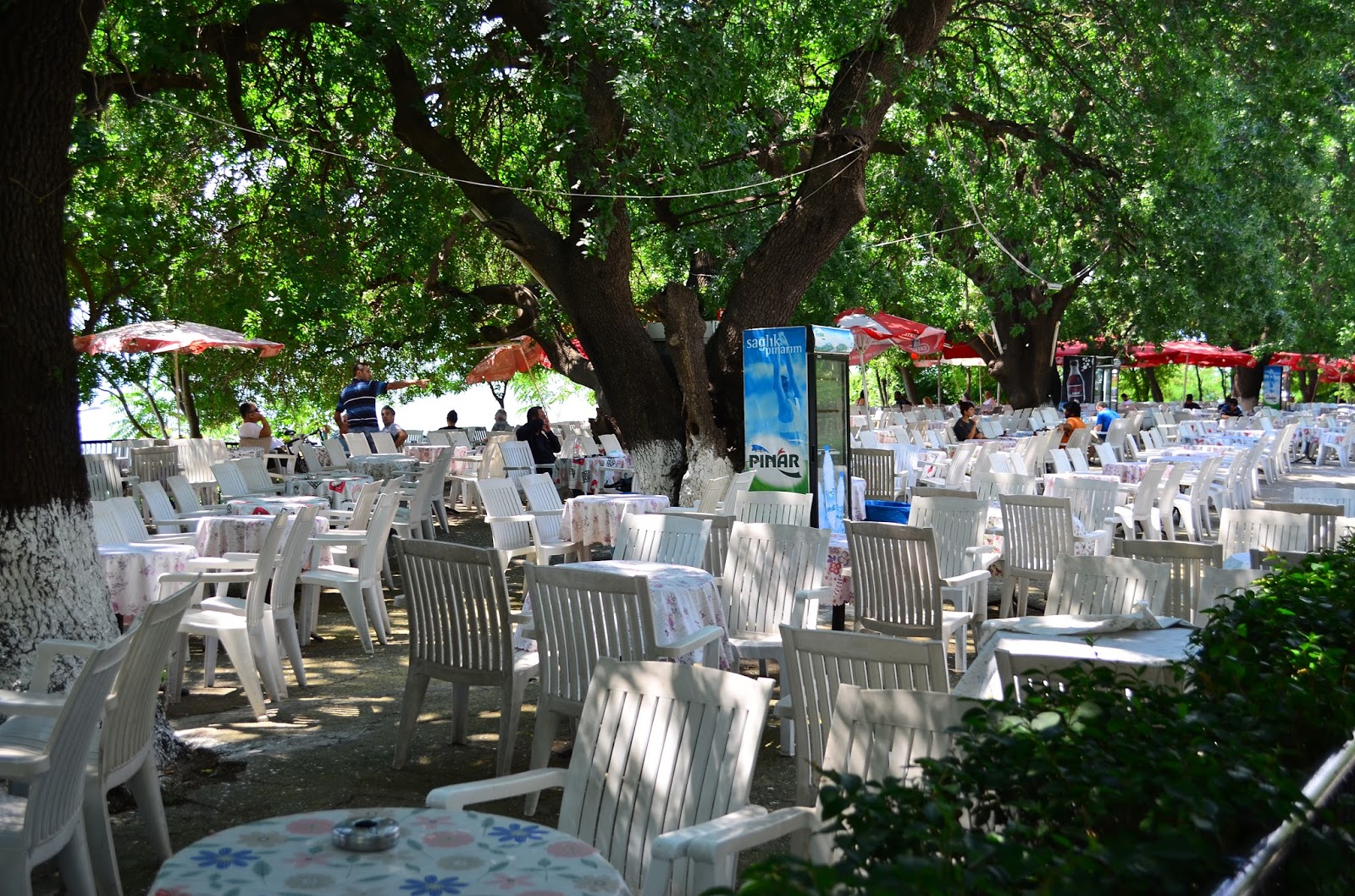 Hedofoodia: Moda Aile Çay Bahçesi, Istamboul