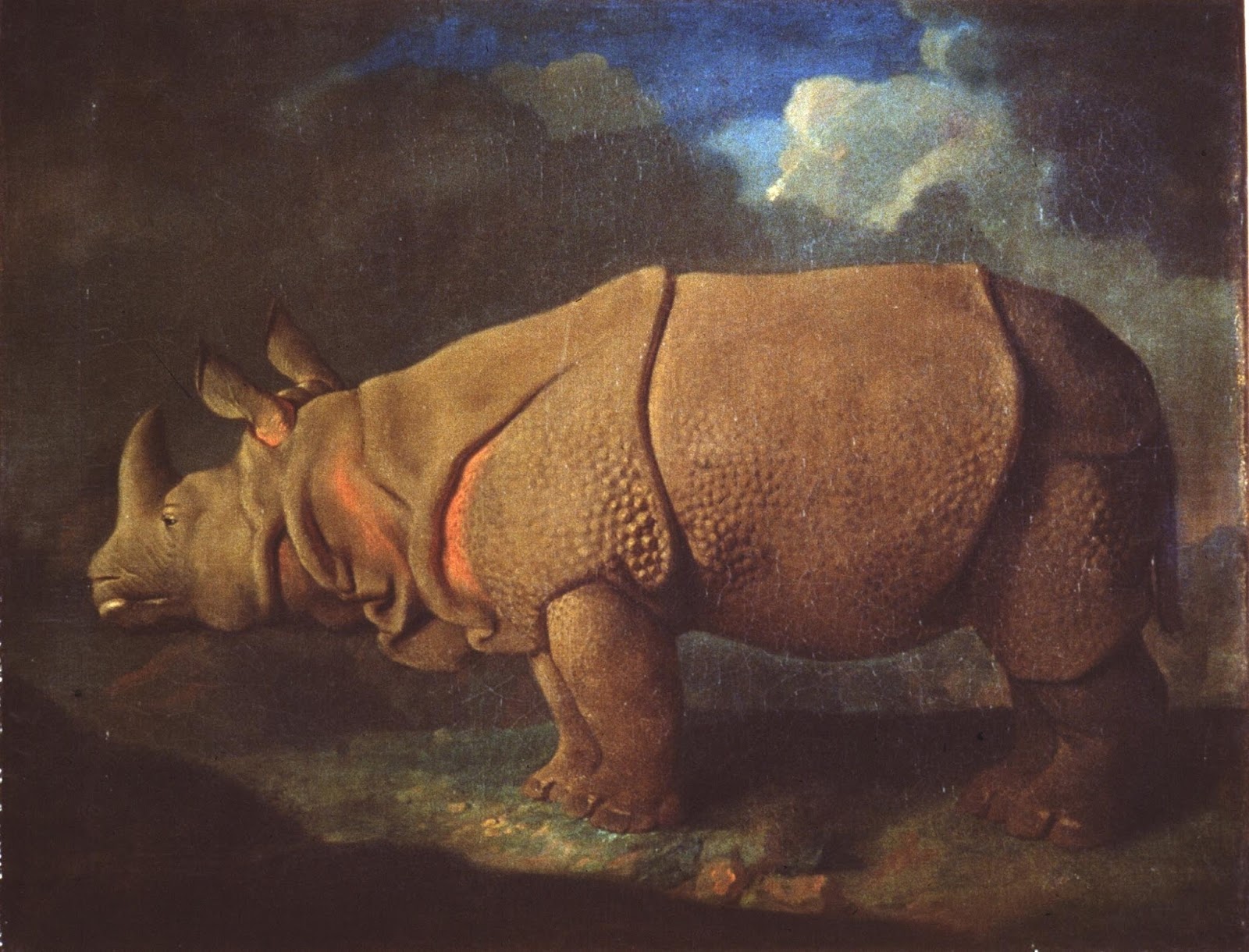 Data Deluge: Rhinoceros (1790)