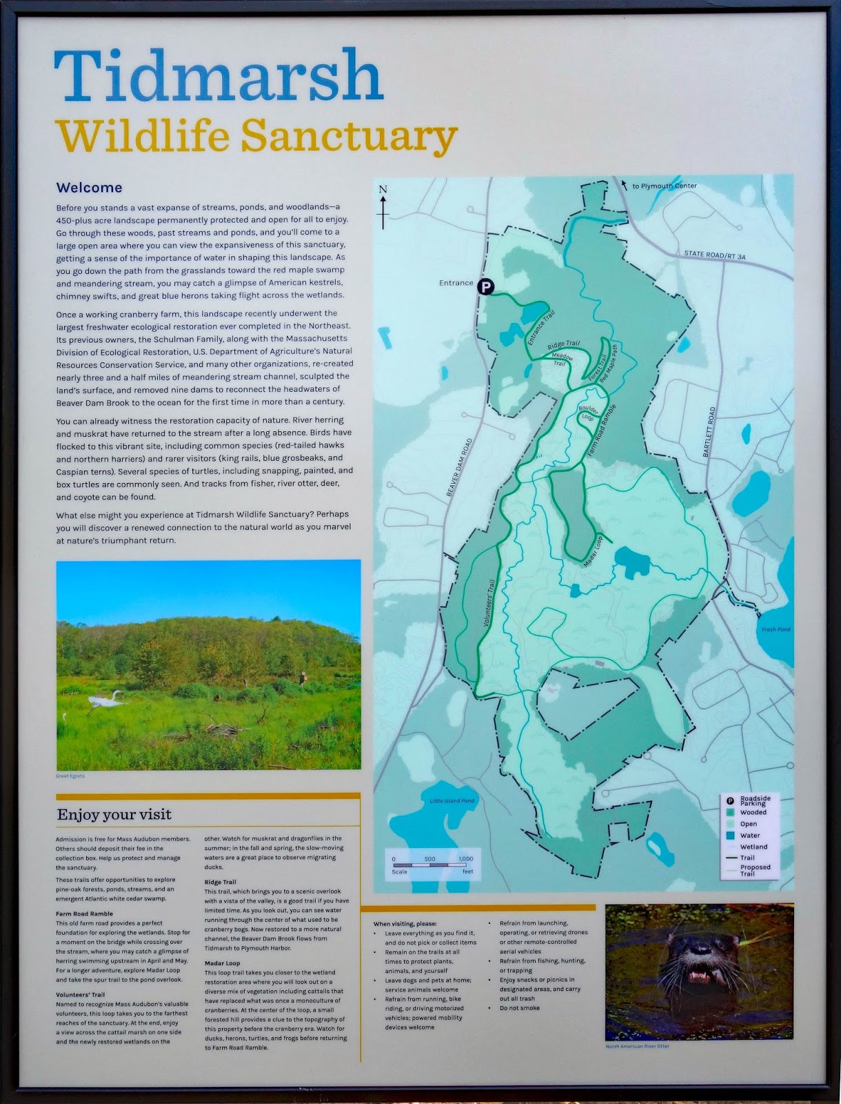 Joe's Retirement Blog: Tidmarsh Wildlife Sanctuary, Mass Audubon ...