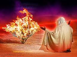 The Human Thirst For The Divine: The Pursuit of GOD