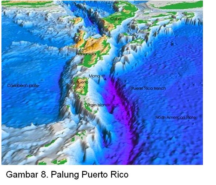 BERBAGI ITU INDAH. COM: PENGERTIAN DAN DISTRIBUSI PALUNG