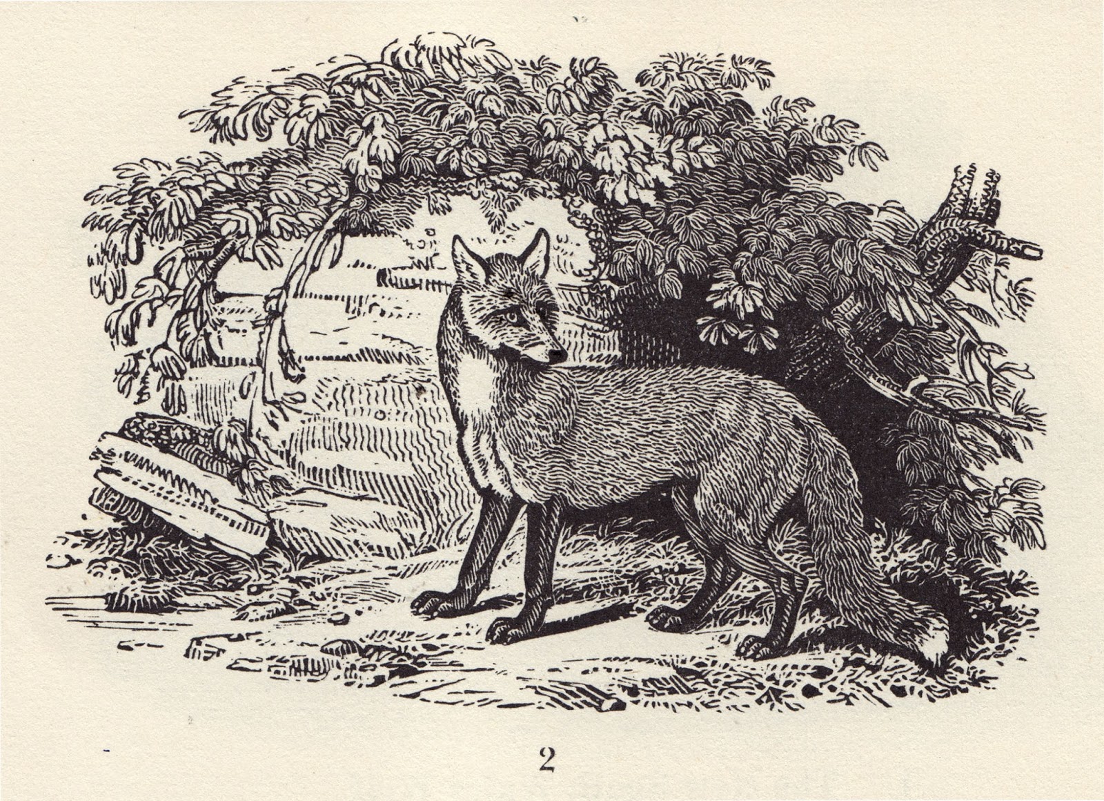 Final Major Art Blog: Woodcuts by Thomas Bewick with medieval written ...