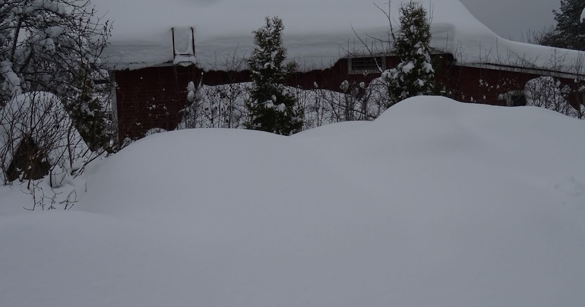 ANNEN LUONTOPÄIVÄKIRJA nature diary: TALVIMAISEMA winter landscape