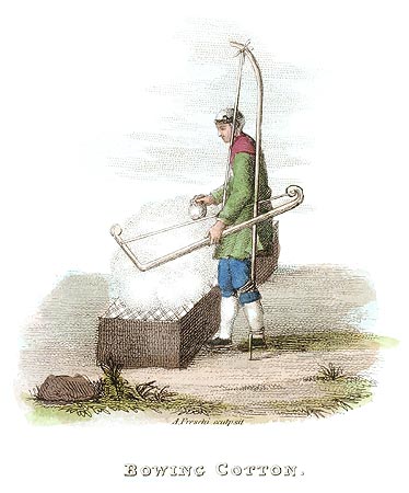 HeartSong Studio: My Study of Cotton