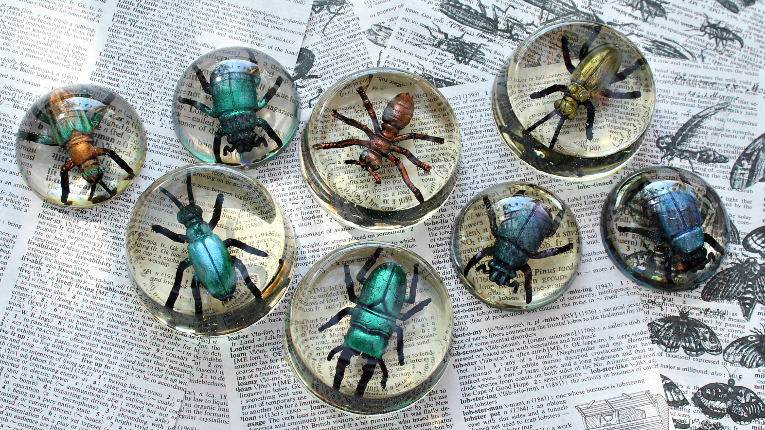 Mark Montano: Faux Bugs In Resin