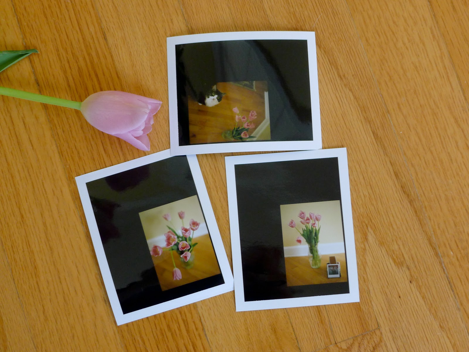 Polaroid Back Question! | Pentax 67 (6x7, 67, 67II) | Flickr