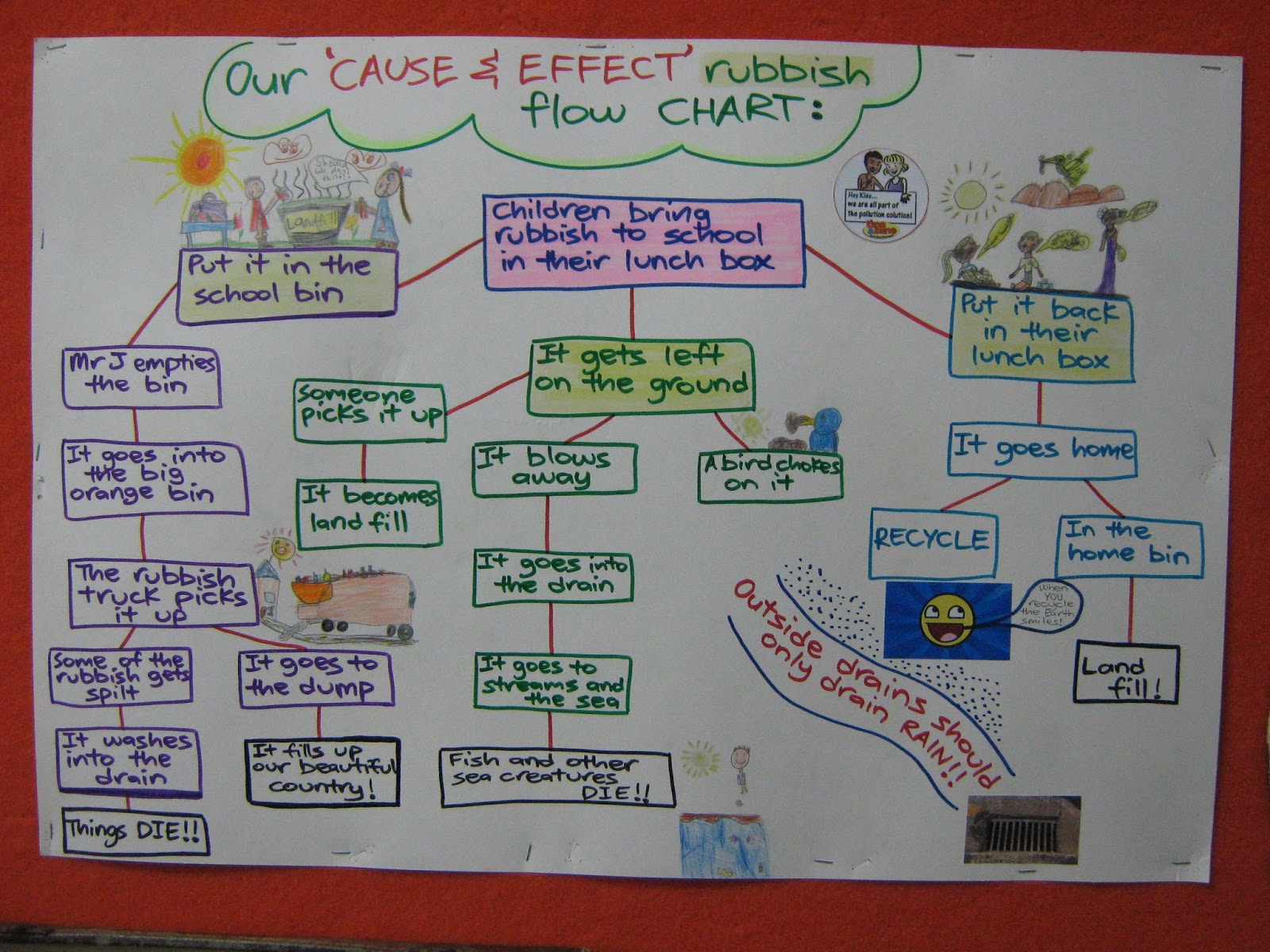 What S Up In Room 16 Lunch Rubbish Flow Chart