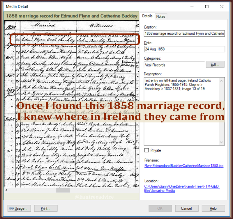 Fortify Your Family Tree: 5 Tips for Researching the In-Laws