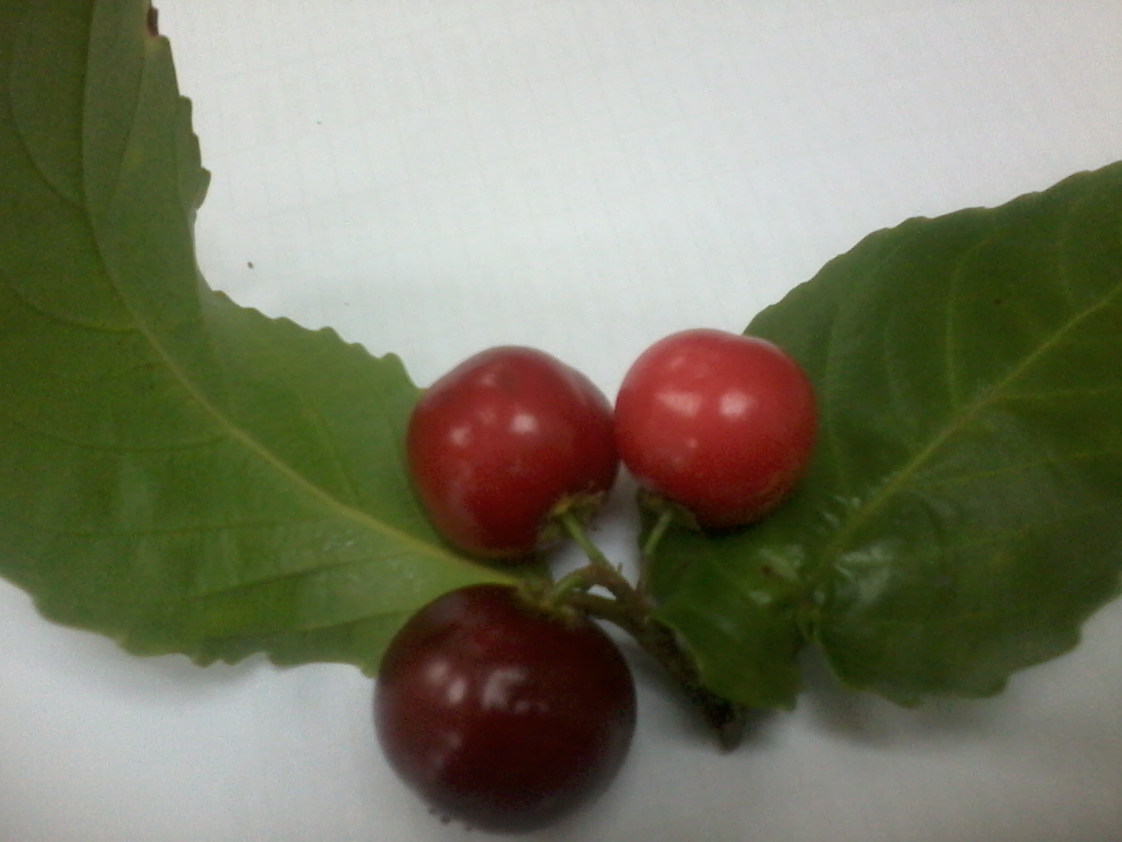 Arshieda78: March 2013