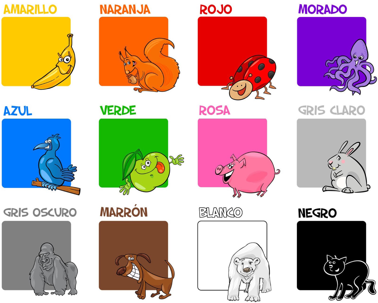 Banaiz: 4 ejercicios con mucho color