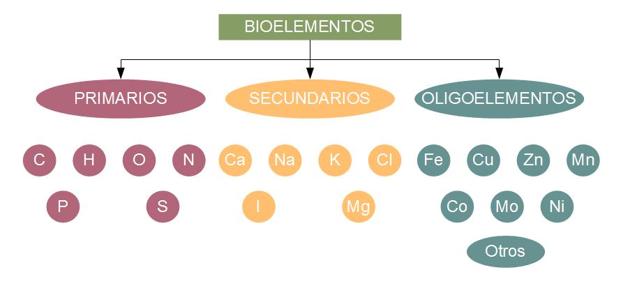 BioBlogger: Quimicos De La Vida