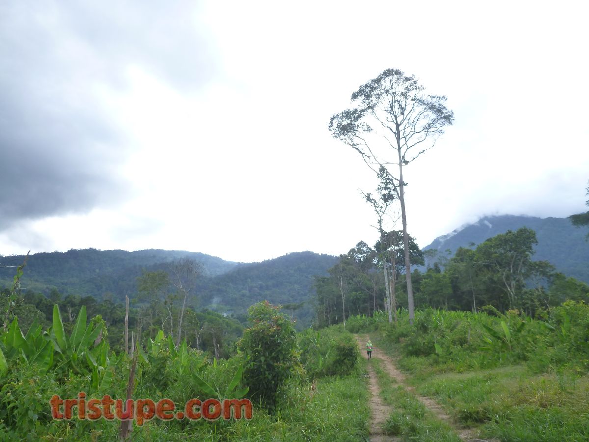 Sabah Adventure Challenge 2013 Race Report : Hottest Day 2 ~ TRISTUPE.COM