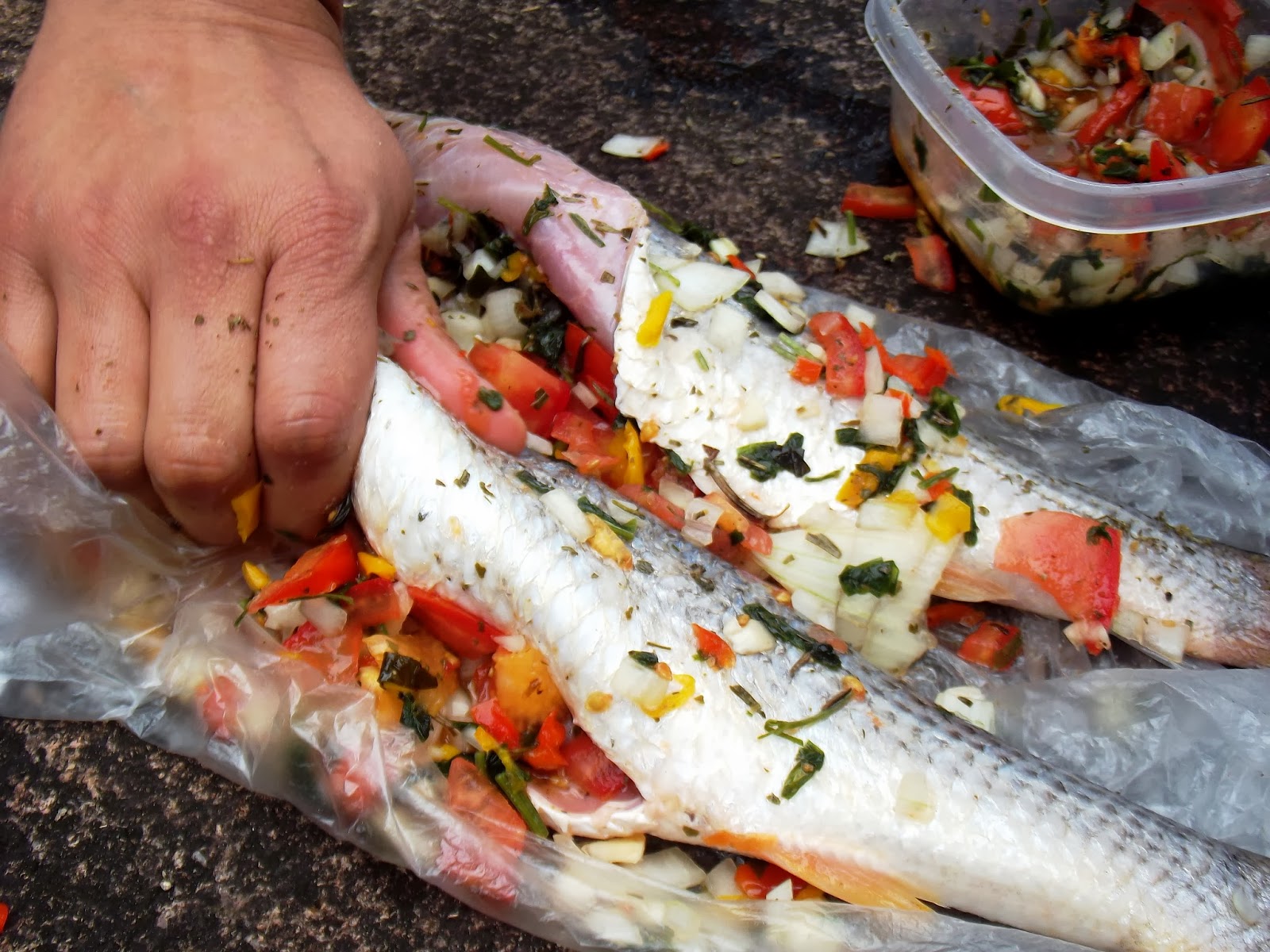 Dicas de Viagem de Elaine e André: Salto dos Macacos - PARTE II - Peixe ...