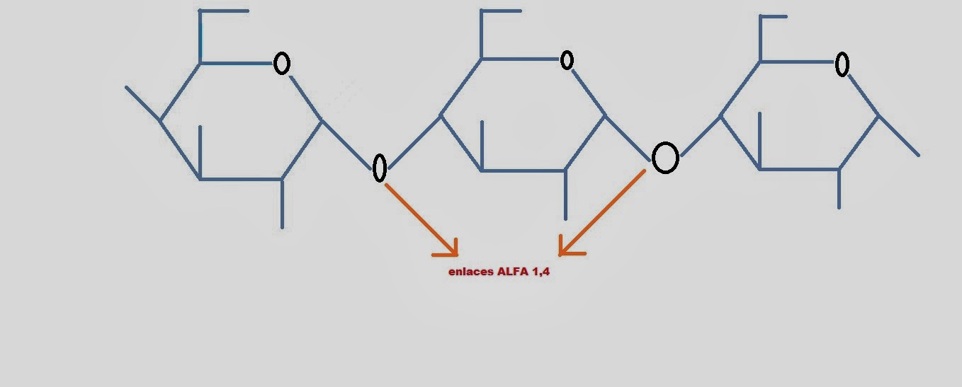 BIOLOGY MOLECULAR/CELLULAR: "hidratos de carbono y ácidos nucleicos"