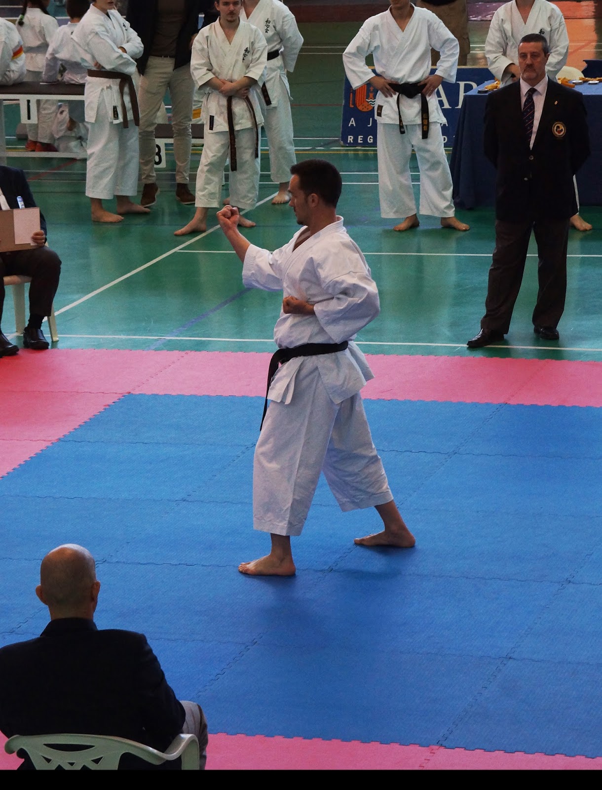 Campeonato del Mundo 2017 Shito Ryu Hayashi - Karate Kintaro Alicante