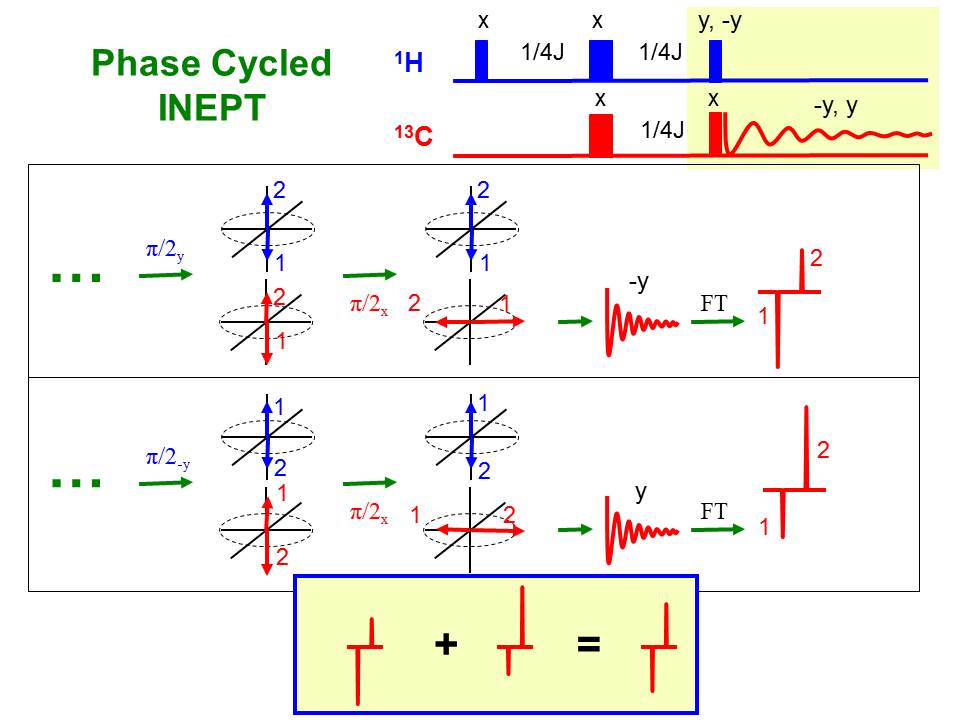 University of Ottawa NMR Facility Blog: INEPT