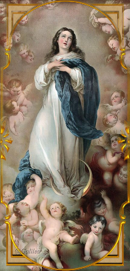 ® Virgen María, Ruega por Nosotros ®: A MARÍA INMACULADA