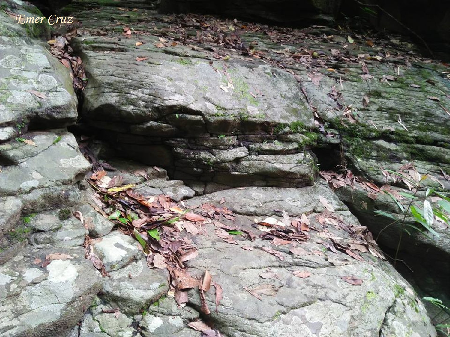 Flat Rocks (Mt. Makiling)