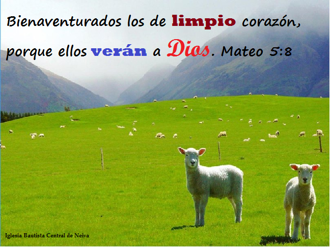 Iglesia Bautista Central Neiva: LA LIMPIEZA DE CORAZÓN ES EL FIN DEL ...